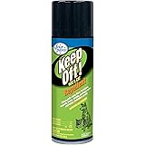 Amazon.com : Four Paws Keep Off Indoor/Outdoor Cat & Kitten Repellent ...