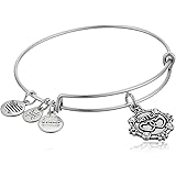 Amazon.com: Alex and Ani Women's Color Infusion Mermaid Charm Bangle Bracelet, Rafaelian Silver ...