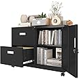 Amazon.com: Metal Office Storage Cabinet with 2 drawers and 1 ...