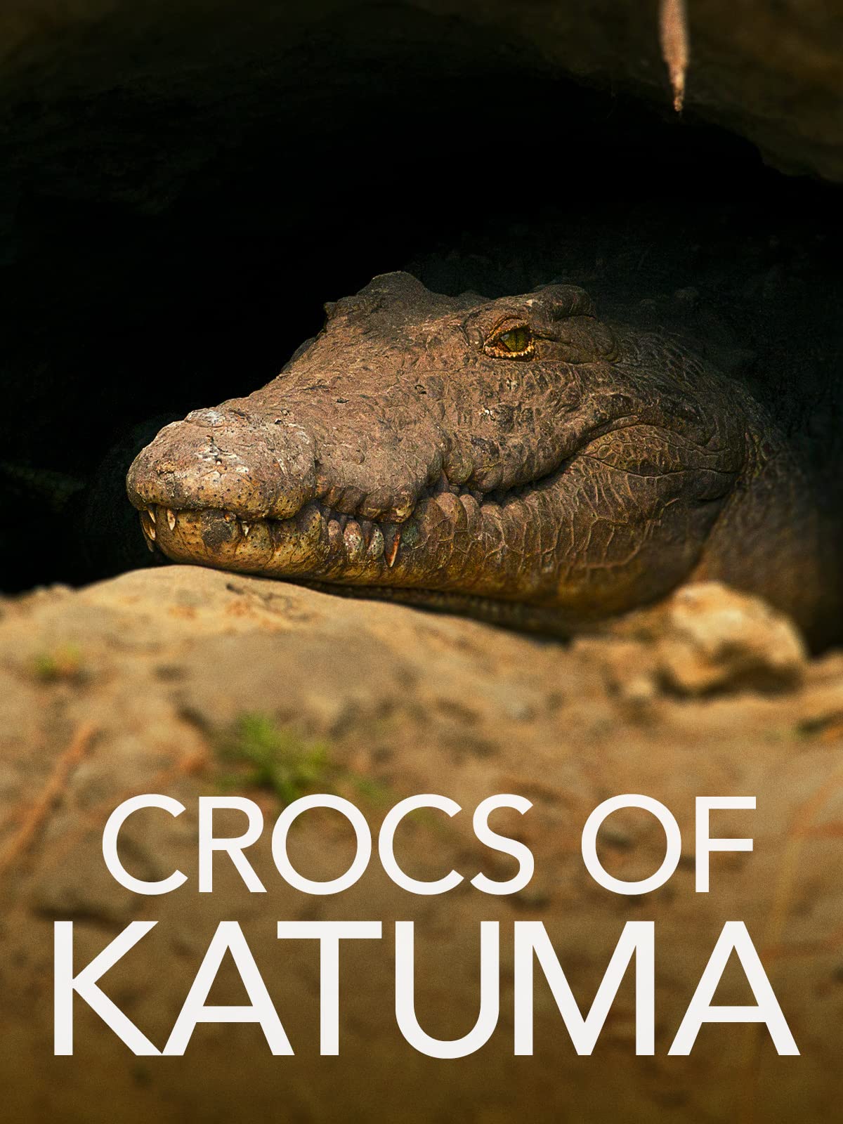 Search the Full Amazon Prime UK Catalogue [Documentary] - NewOnAmzPrimeUK