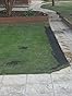1kg Grass Seed Covers up to 55 m2 (590 ft2) New Lawns - Premium Quality ...