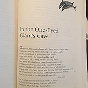 Amazon.com: The Odyssey (9780393089059): Homer, Emily Wilson: Books