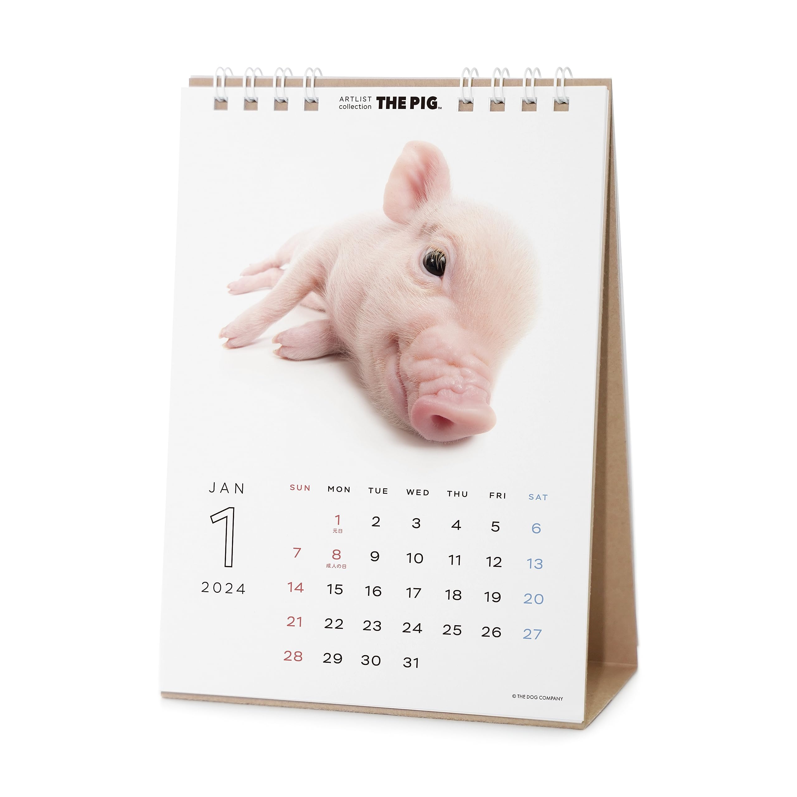 Mua THE PIG 2024 Calendar Tabletop Size Pig trên Amazon Nhật chính hãng ...