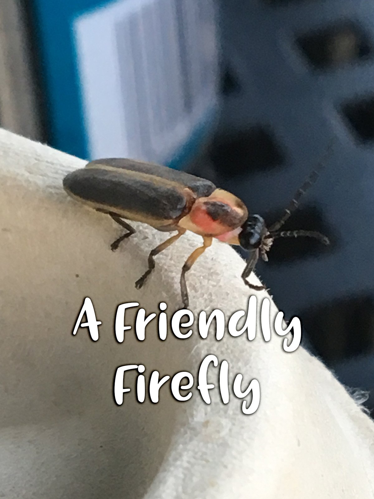 July 2017 additions to Amazon Prime UK - NewOnAmzPrimeUK