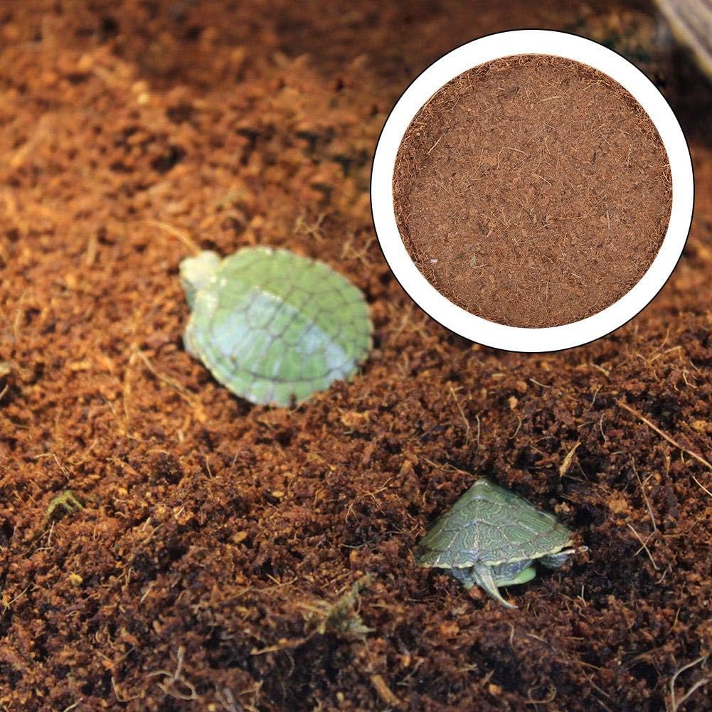 Reptile Coconut Soil Natural Coconut Fiber Substrate Bricks Terrarium ...