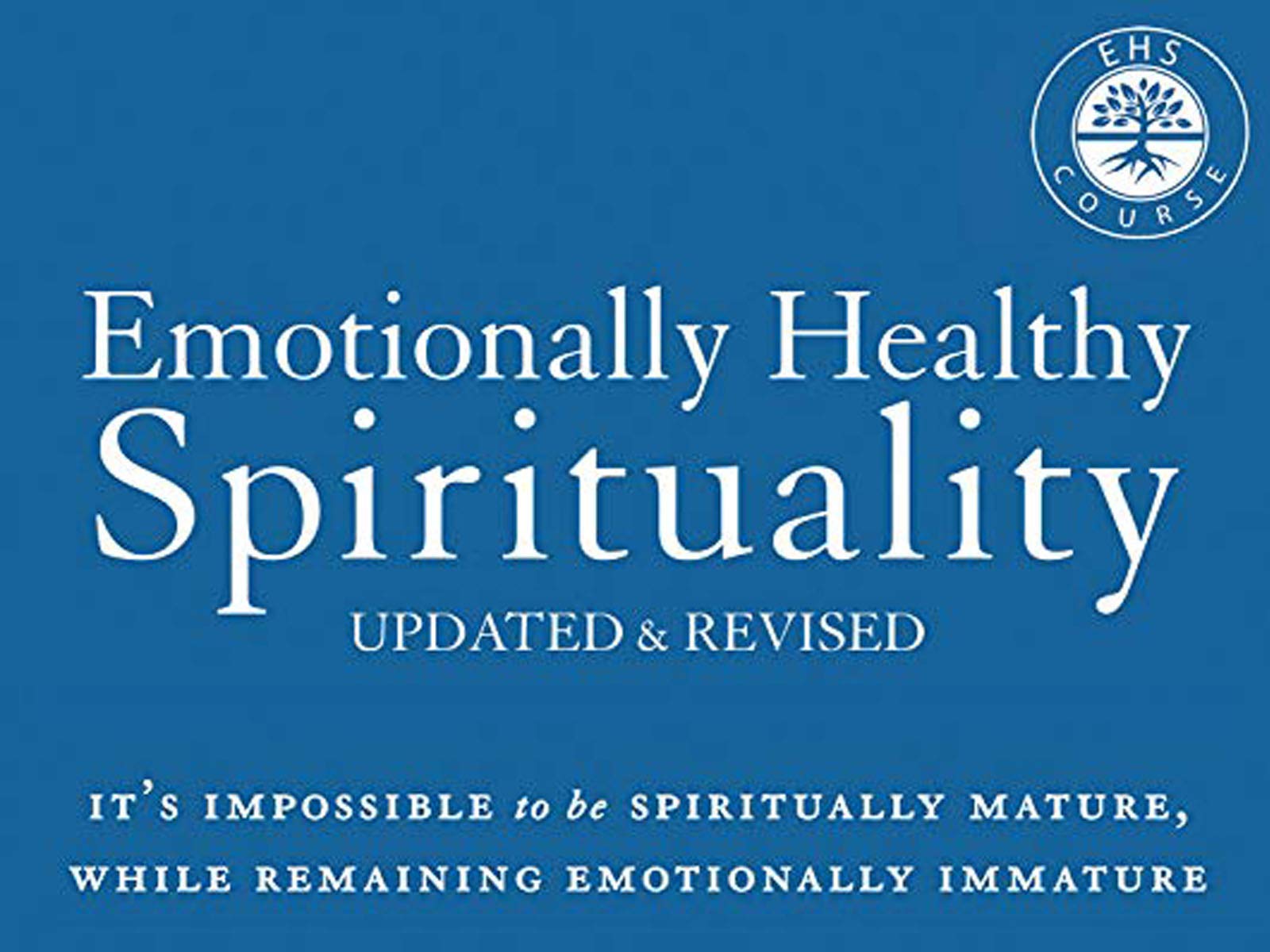 Watch Emotionally Healthy Spirituality, Updated Edition (with subtitles ...