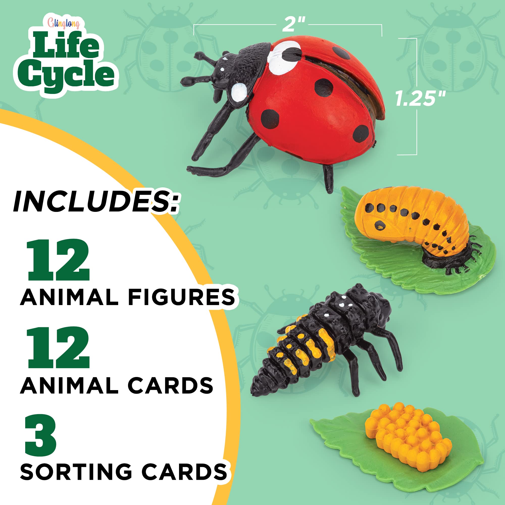 Mua Life Cycle Animal Kit - 12-Piece Montessori Science Toy with Frog ...