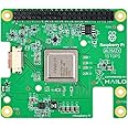 Amazon.com: Raspberry Pi AI HAT+ 13Top Artificial Intelligence Hailo-8 ...