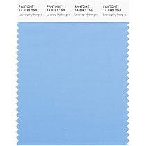 Pantone Lacecap Hydrangea Pantone Colour Palettes, Pantone, 58% OFF