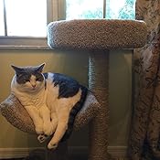 Amazon.com : Molly and Friends "Simple Sleeper" Premium Handmade 2-Tier ...