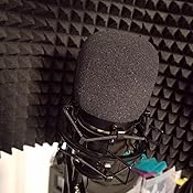 Amazon.com: Mudder Large Foam Mic Windscreen for MXL, Audio Technica ...