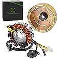 Amazon.com: Magneto Stator with Flywheel Rotor Kit 11 Coils 5 Wire ...