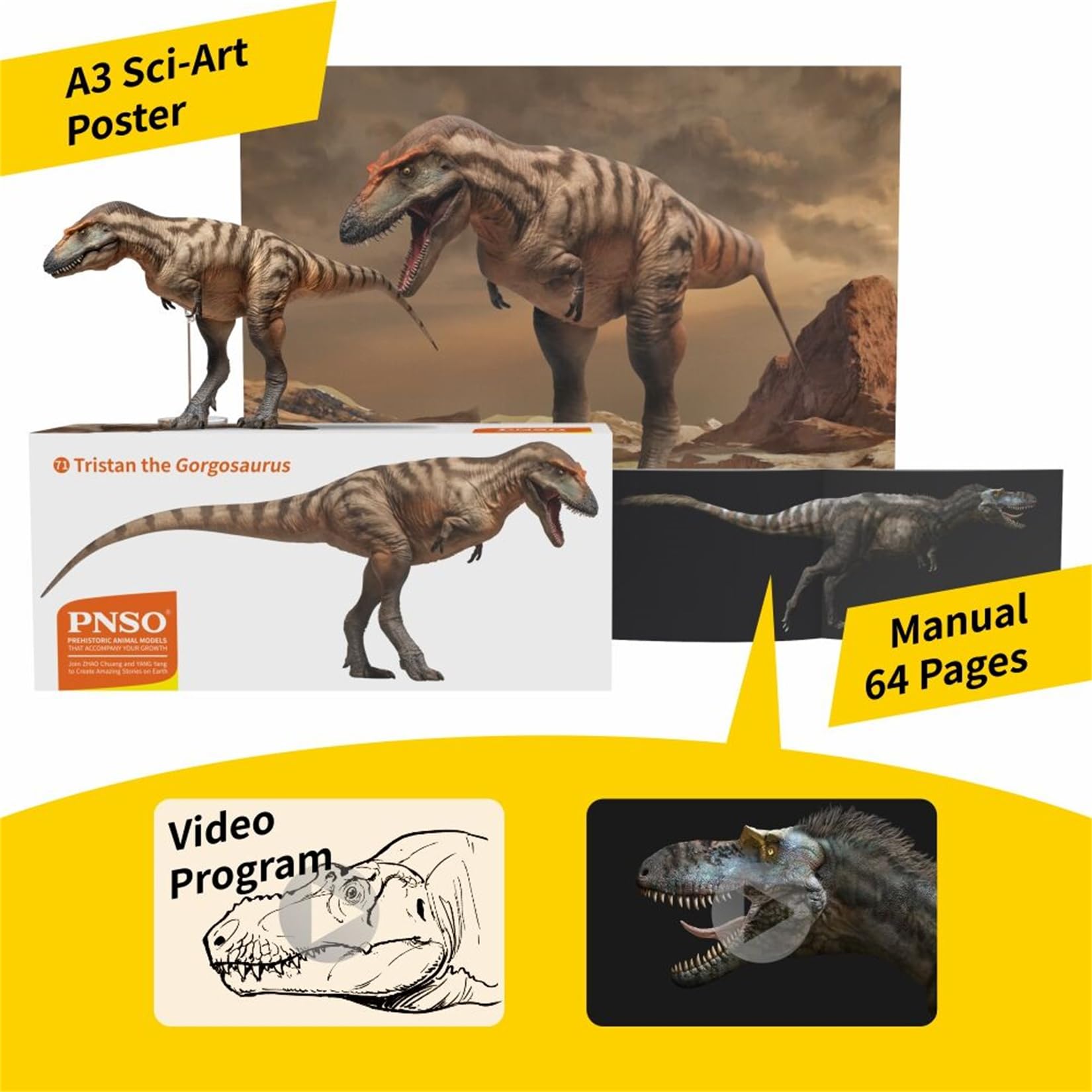 Mua BACALYSO | PNSO Growth Series 71 Gorgosaurus Figure, Horrible ...