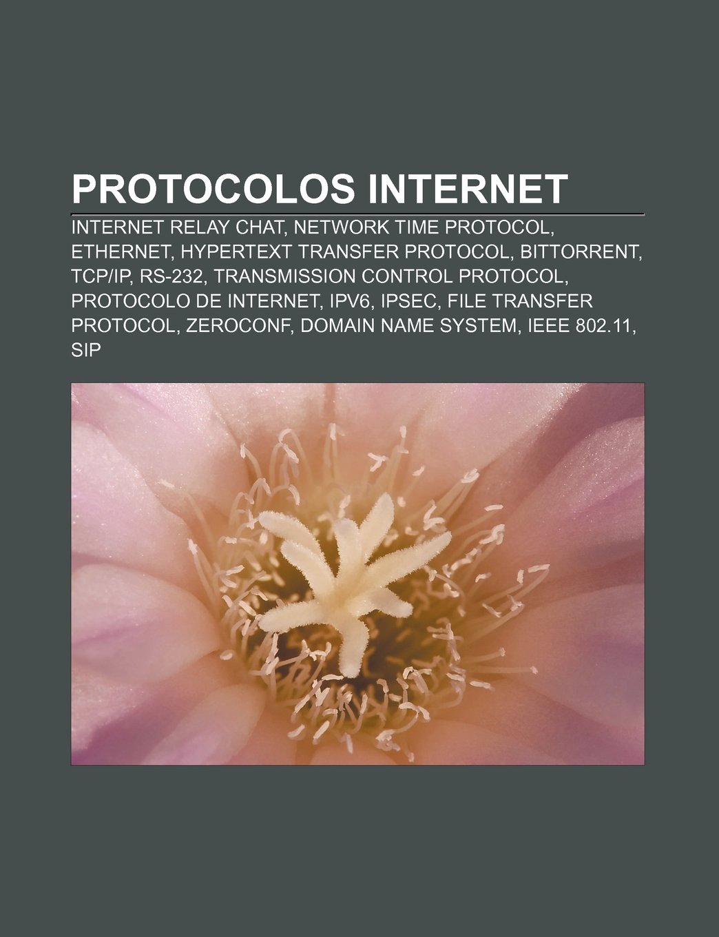 Protocolos Internet: Internet Relay Chat, Network Time Protocol ...