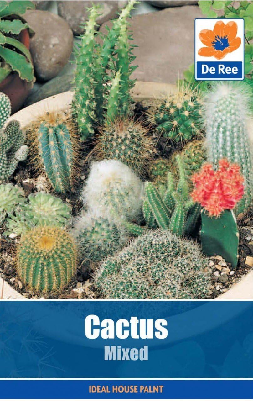 Cactus Mixed: Amazon.co.uk: Garden & Outdoors