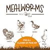Classic Flock 5LB Dried Mealworms for Chicken Hen Birds Ducks Fish ...
