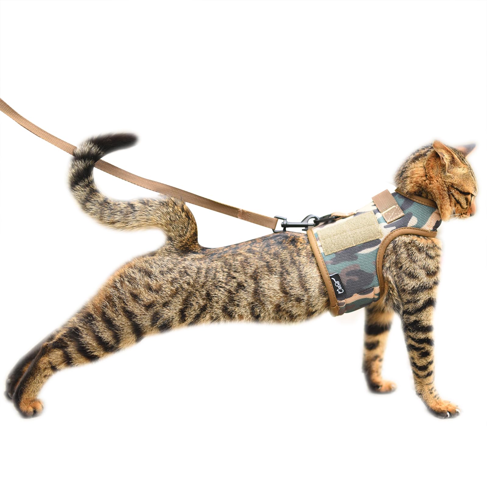 Tactical Kitty Harness and Leash for Walking Escape Proof Breathable ...