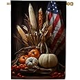 Amazon.com : America Forever USA Autumn Bounty Thanksgiving House Flag ...