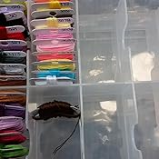 Creative Options Thread Organizer: Amazon.ca: Home & Kitchen