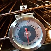 Salter Kitchen Oven Thermometer Stainless Steel, Maintain Perfect Food ...