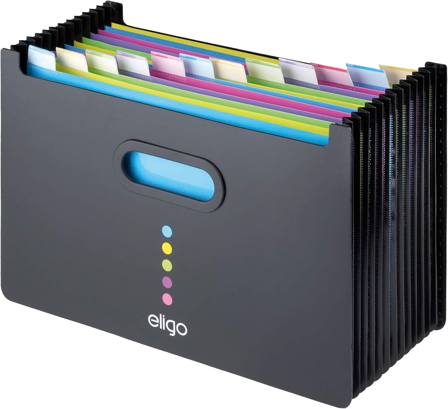 Snopake Foolscap Eligo 13-Part Landscape Desk Expander/Organiser ...