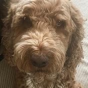 AniForte BARF Complete for Dogs 1000g - 100% Natural Premium Barf ...