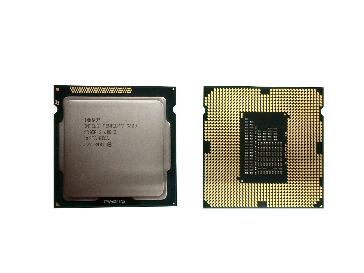 Amazon.in: Buy Intel Pentium G620 Dual Core 2.6 GHz 3MB 2 Cores 1155 ...