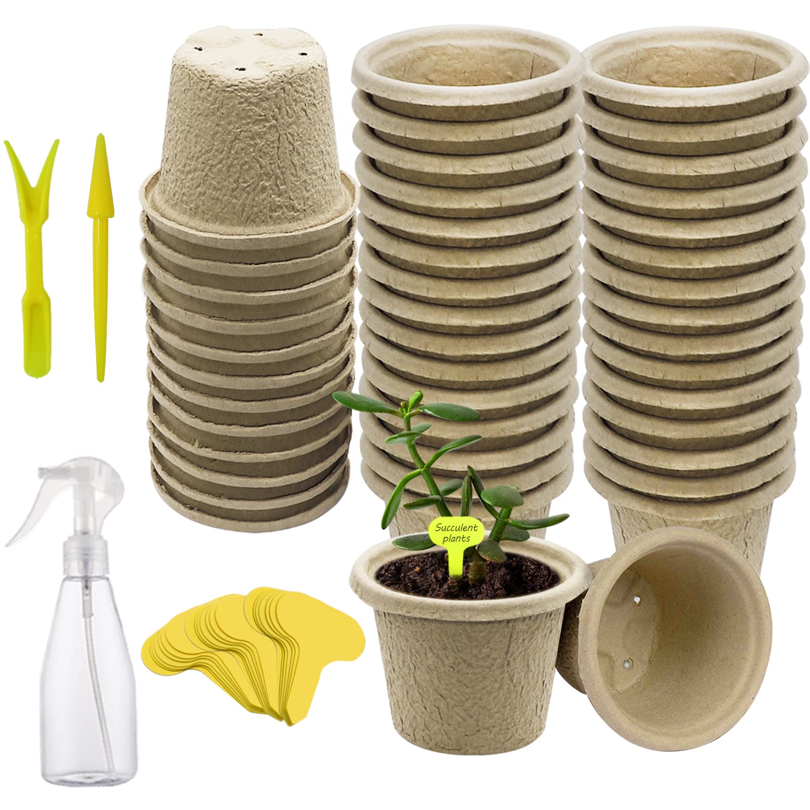 TCBWFY 4.5" Peat Pot sfor Seedlings Seed Starting Trays, 60 Pack Plant ...