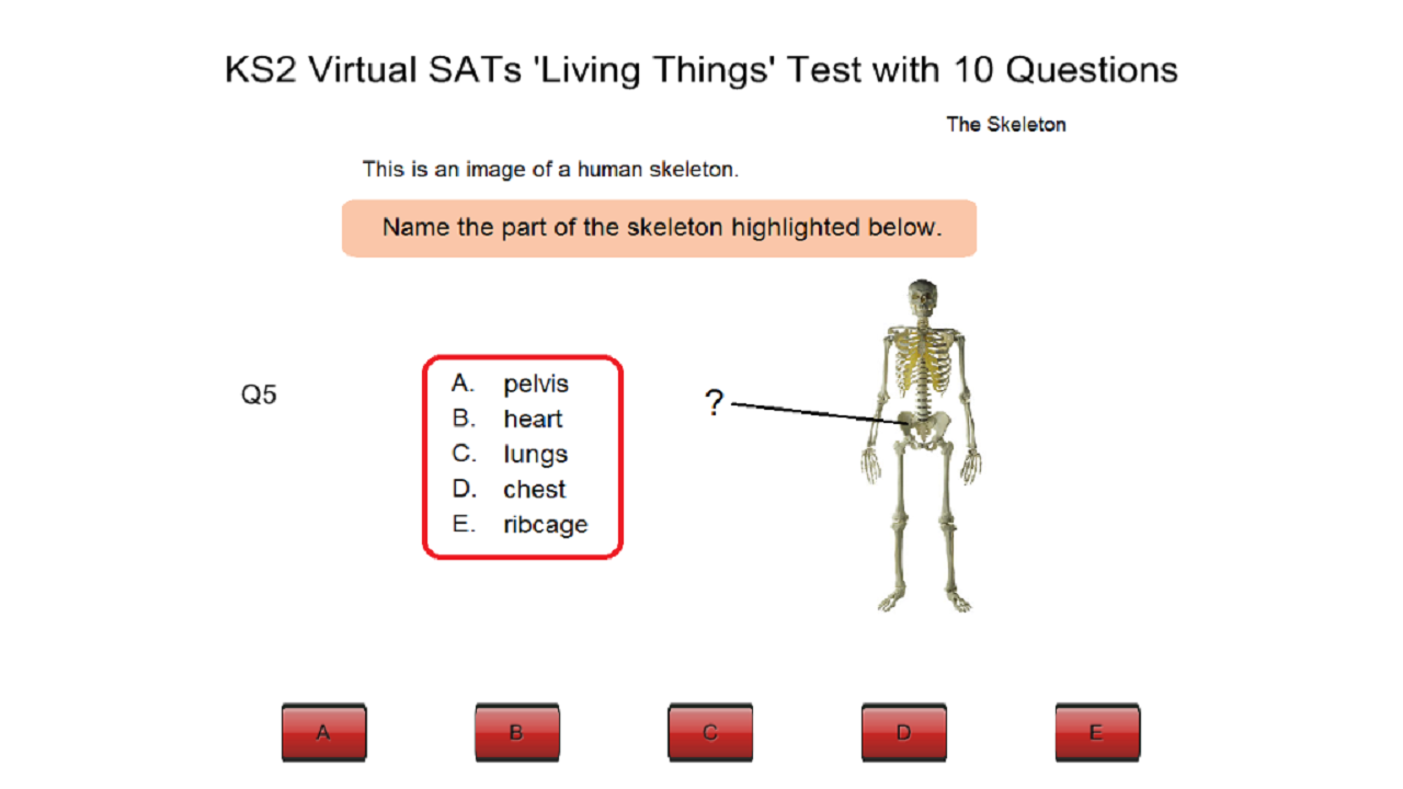 KS2 SATs Science:Amazon.com:Appstore for Android