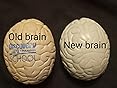Amazon.com: Brain Stress Toy - Gray by Ariel : Toys & Games