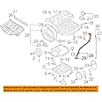 Amazon.com: VOLKSWAGENAUDI 06J115610L GENUINE OEM TUBE : Automotive