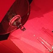 Amazon.com | Riedel Accanto Lead Free Crystal 19.75 Oz Red Wine Glasses ...