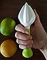 Amazon.com: Cuisinox Citrus Reamer: Zesters: Kitchen & Dining