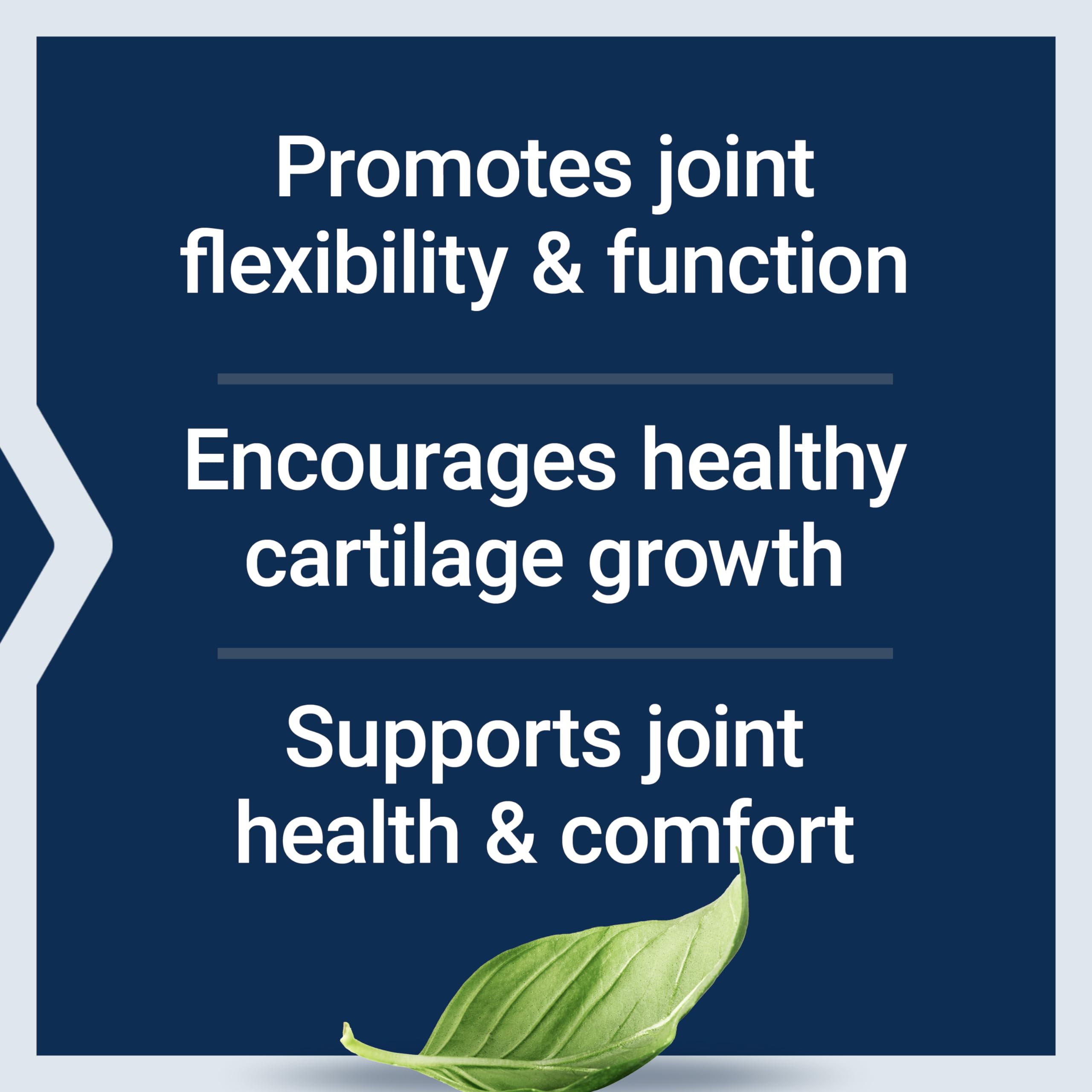 Mua Life Extension NT2 Collagen™, joint health supplement for joint ...