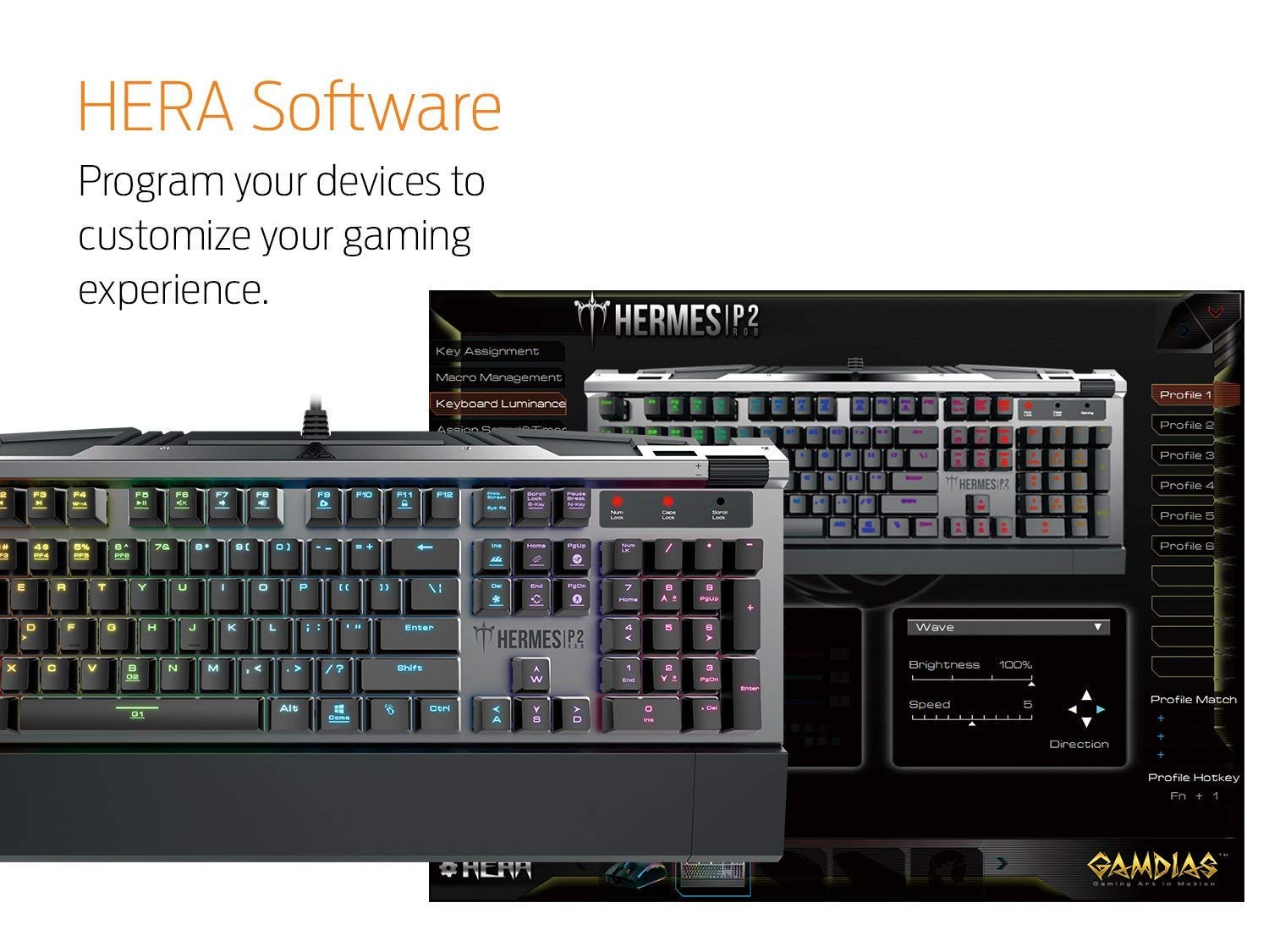 Mua GAMDIAS Hermes P2 Black Mechanical Keyboard USB Gaming 104 Switches ...