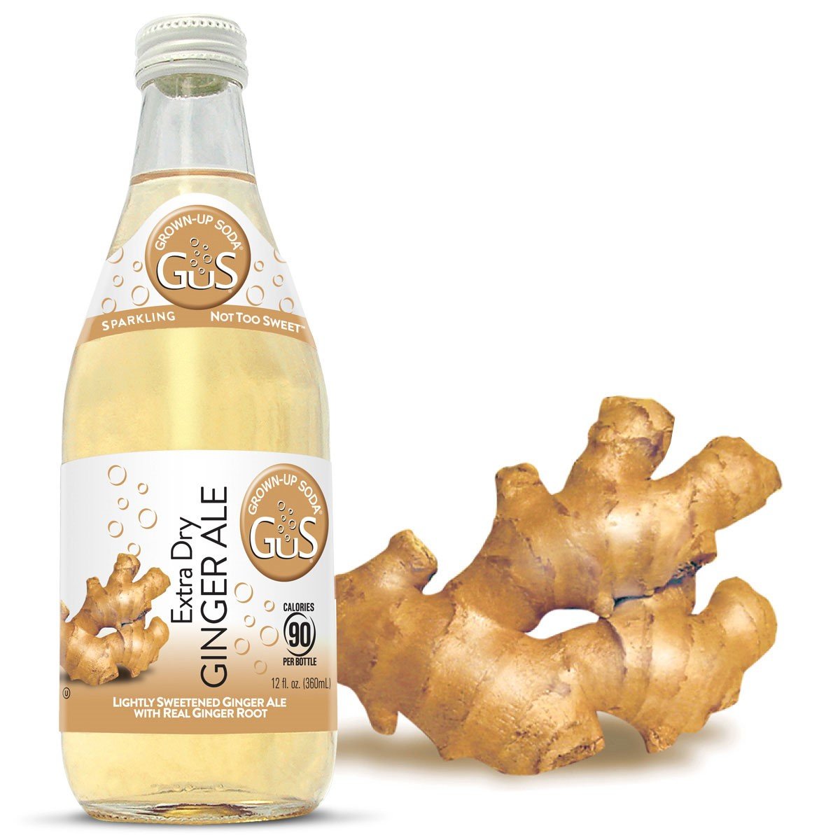 Amazon.com : Gus Soda, Soda Extra Dry Ginger Ale, 12 Fl Oz : Grocery ...