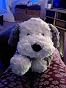 Jellycat Tumblie Sheepdog (35cm) : Amazon.co.uk: Toys & Games