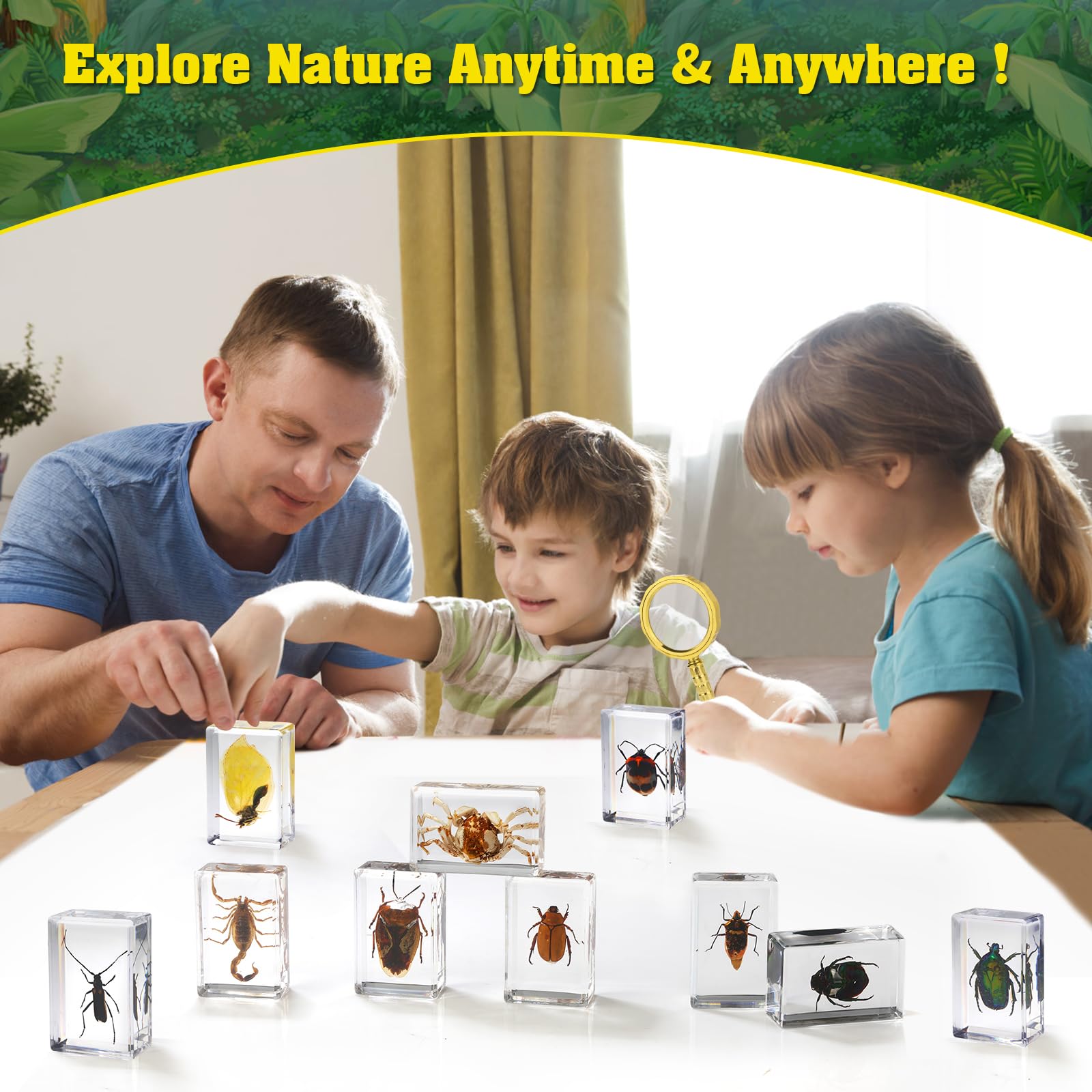 Mua 15 insect specimens,Real Specimens of Various Butterflies and ...