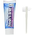 Amazon.com: Fresh 'n Brite Denture Cleaning Paste, 3.8 Ounce (Pack of 2 ...