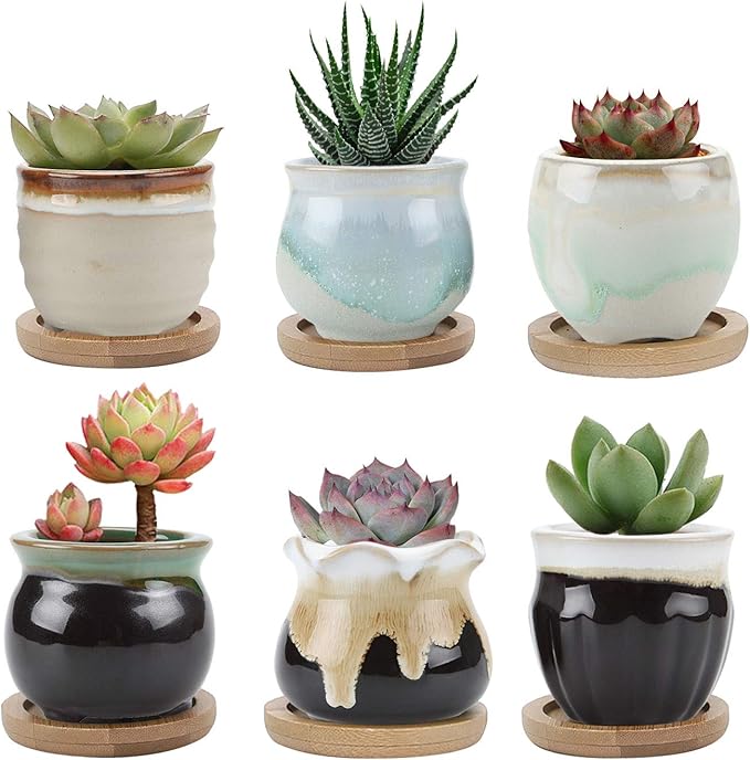 T4U 6CM Ceramic Succulent Pot, Cactus Planter Pot Plant Container ...