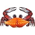 Amazon.com: Tissue Crab Party Accessory (1 count) (1/Pkg) : Home & Kitchen
