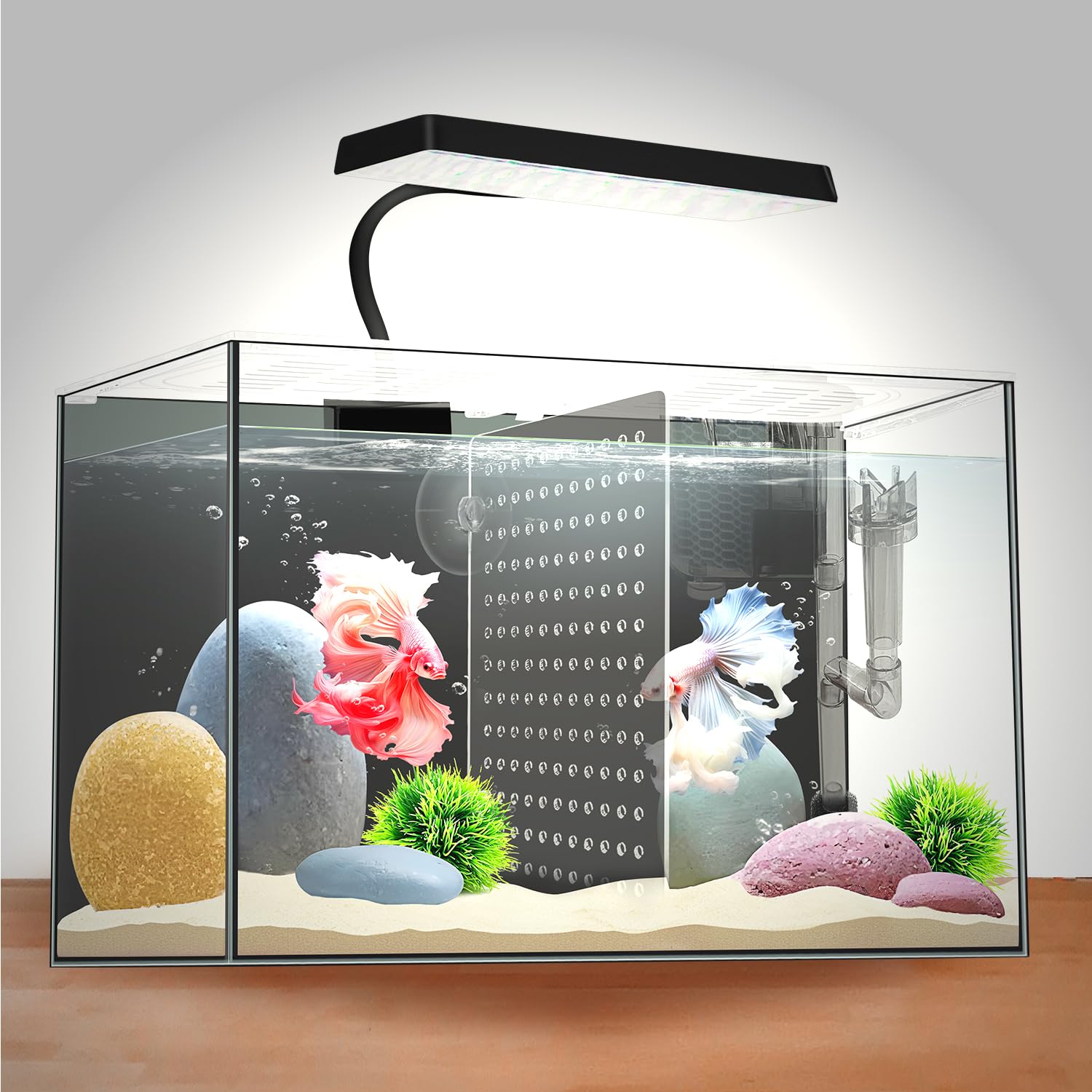 iPriro 3 Gallon 12.6” L Fish Nano Glass Aquarium, with Separator Plate ...