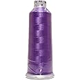 Amazon.com: Madeira Polyneon Embroidery Thread 40 Wt 5000M M Cone Color ...