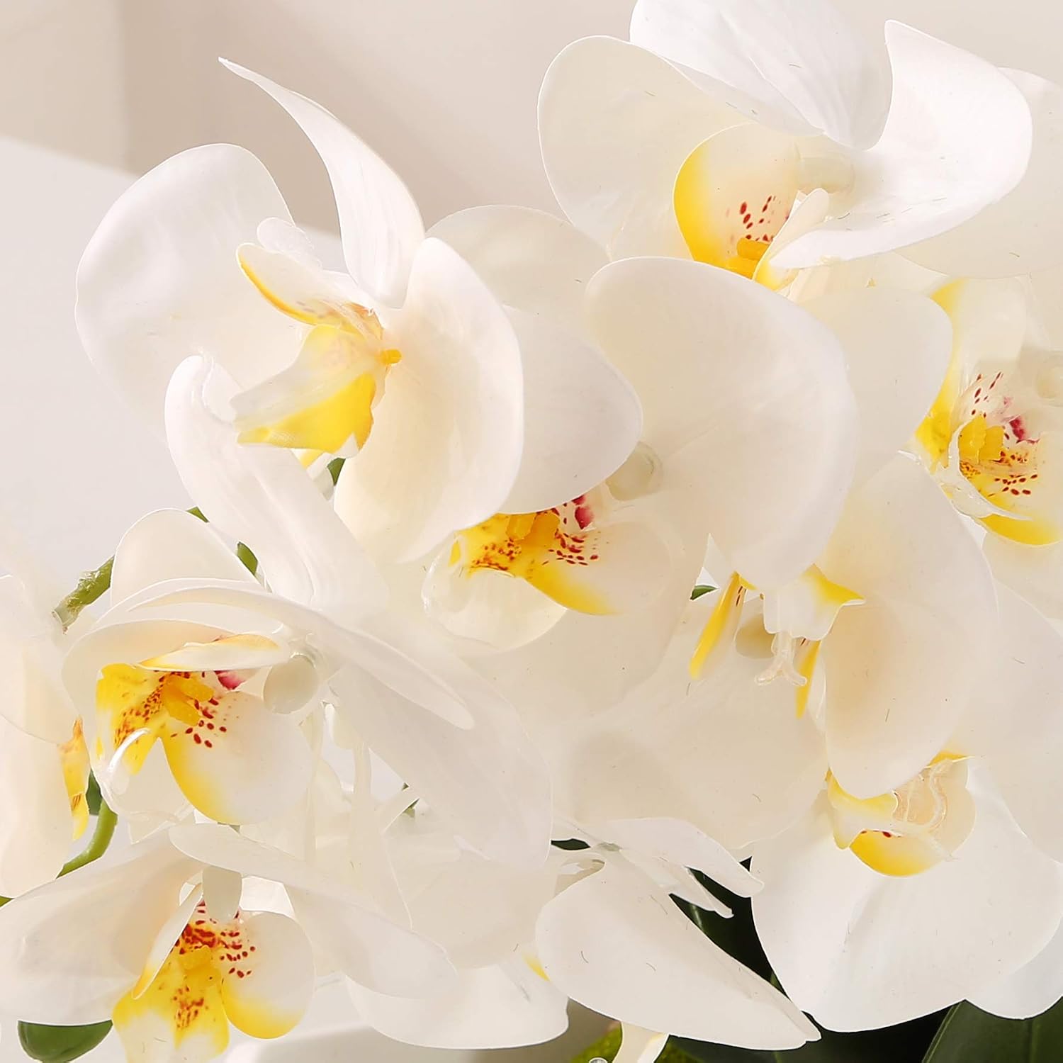 Piante e fiori artificiali ENCOFT Phalaenopsis Fiori Orchidea pianta ...