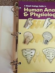 Amazon.com: A Visual Analogy Guide to Human Anatomy & Physiology, 3e ...