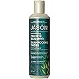 Jason Normalizing Tea Tree Shampoo, 517ml : Amazon.ca: Beauty ...