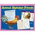 Amazon.com: Animal Alphabet Friends Flashcards - Abeka Kindergarten 2 ...