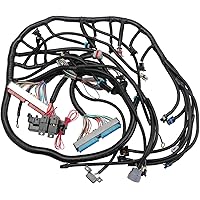 Amazon.com: DYRDINSHOW Stand Alone Harness 4L60E Engine Wiring Harness Compatible with 1997-2006 ...