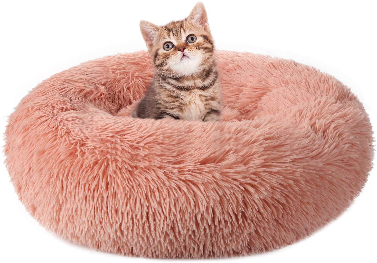 rabbitgoo Cat Beds for Indoor Cats, 20 inches Cat Bed Machine Washable ...