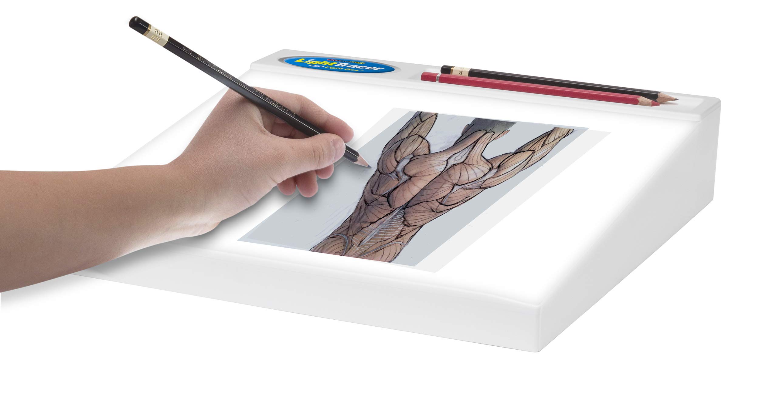 Mua LightTracer LED Lightbox for Art, Tracing, Drawing, Illustrating ...